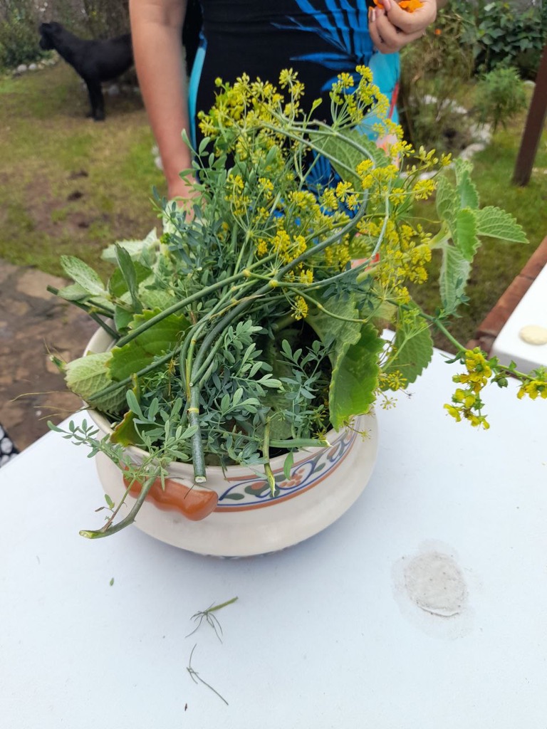 Baño post parto, retiro de enseñanza y bendición. - VIVENCIA ECO SOMATICA